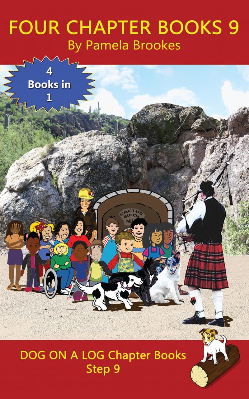 Systematic Decodable Chapter Books with two-syllable words