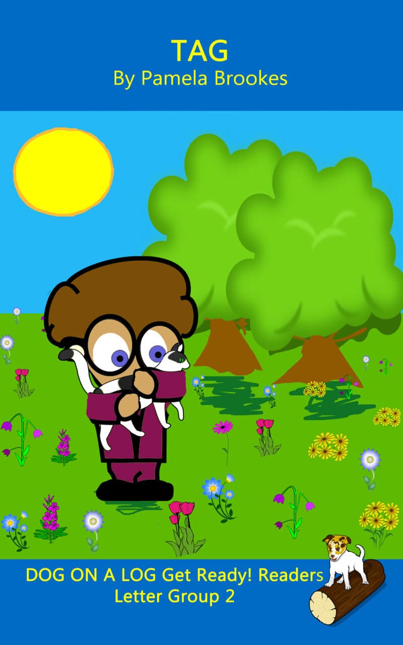 Pre-Reader Books for New Readers and Students with Dyslexia